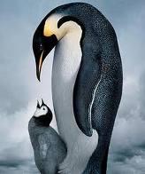PENGUIN's ecobuddies fun